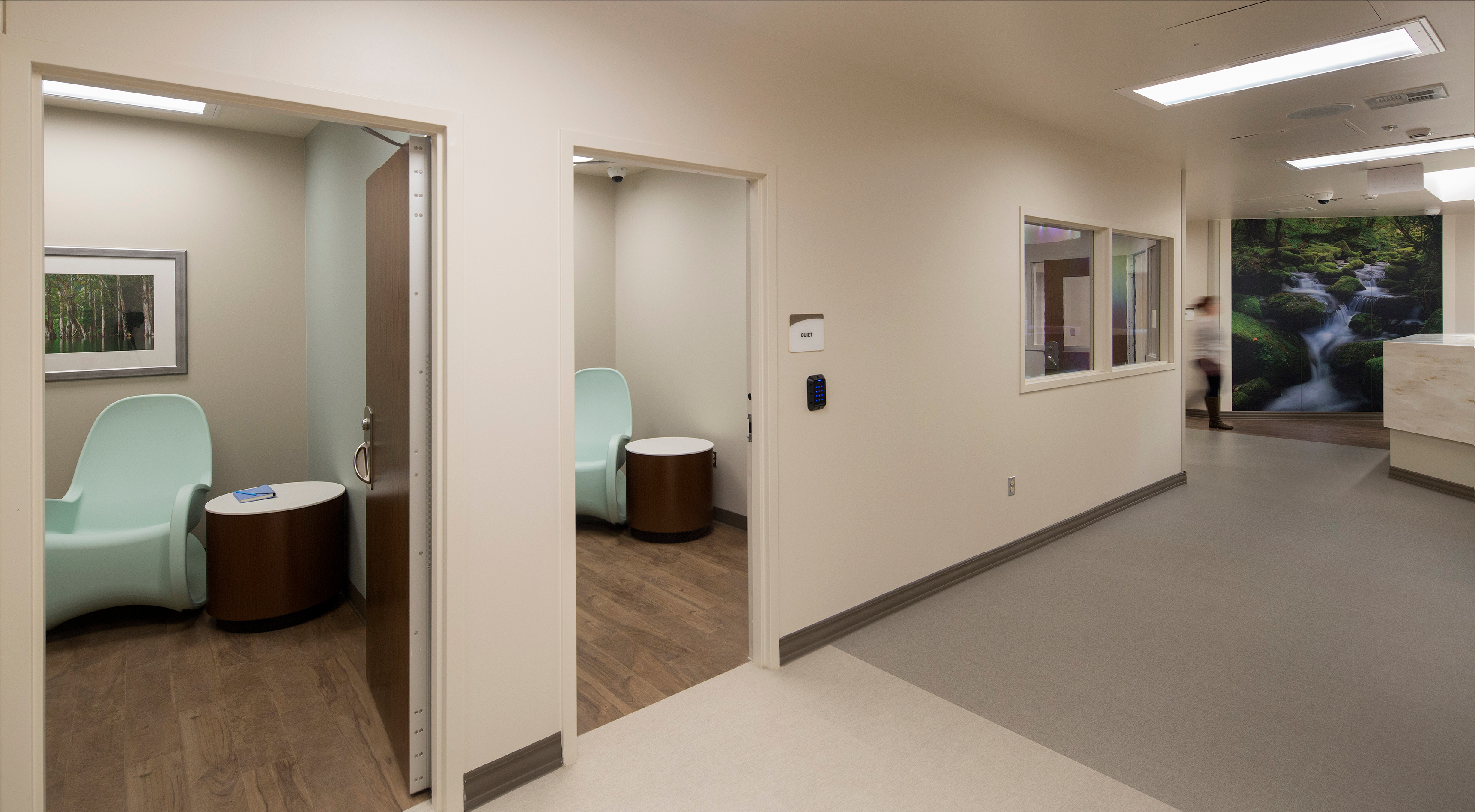 Pinewood Springs | TMP